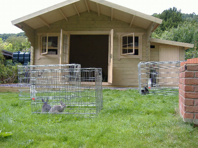 new animal house 100 - Haytor Kennels and Cattery, Dorking, Surrey ...