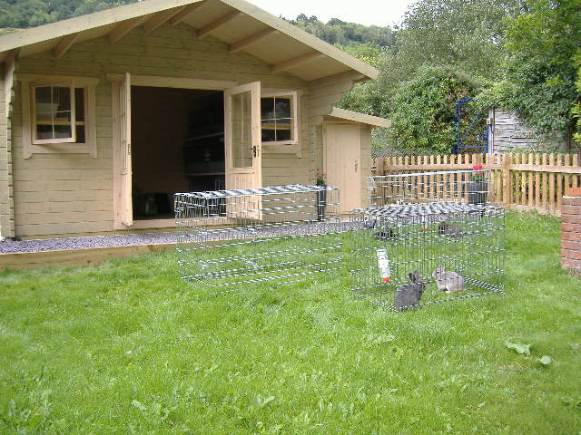new animal house 103 - Haytor Kennels and Cattery, Dorking, Surrey ...